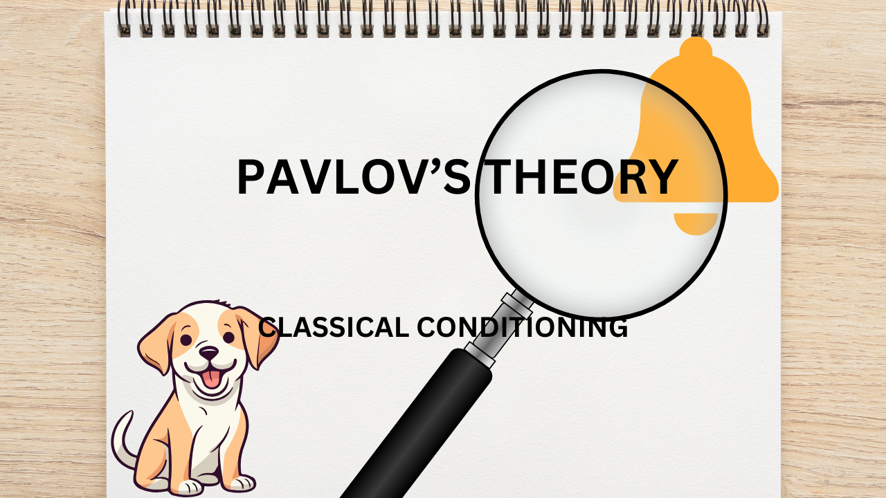 What Can Pavlov's Dog Teach Us About Modern Education - Verbal Versa